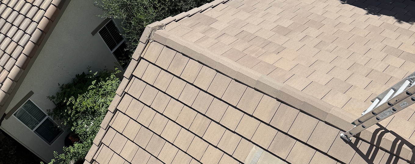 Moss Removal - Exterior Pro Cleaning